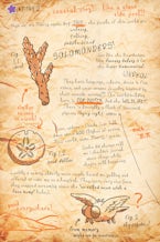 Disney Manga: Marcy's Journal - A Guide to Amphibia (Hardcover Edition ...